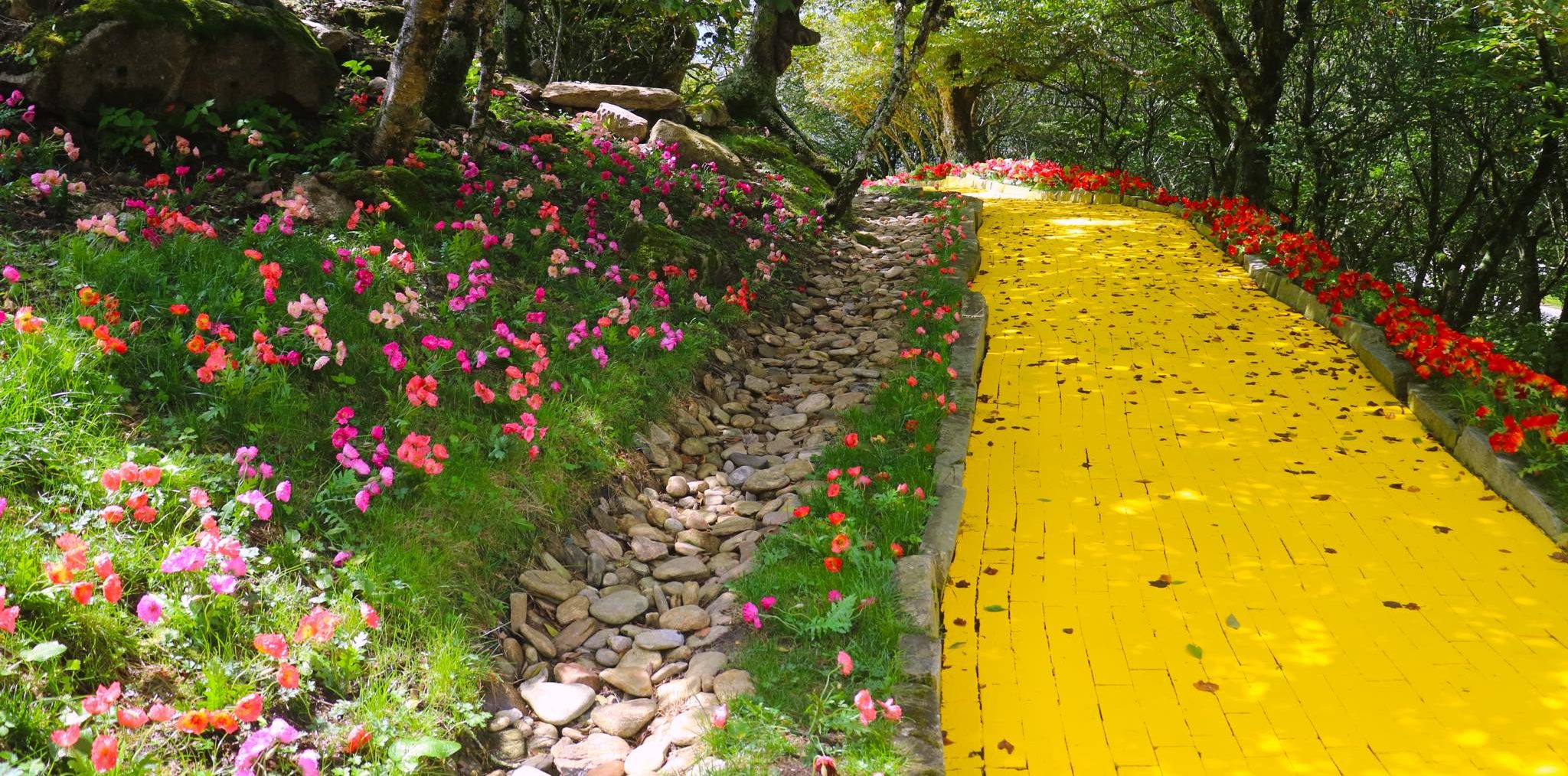 Land of Oz - Bucketlisted